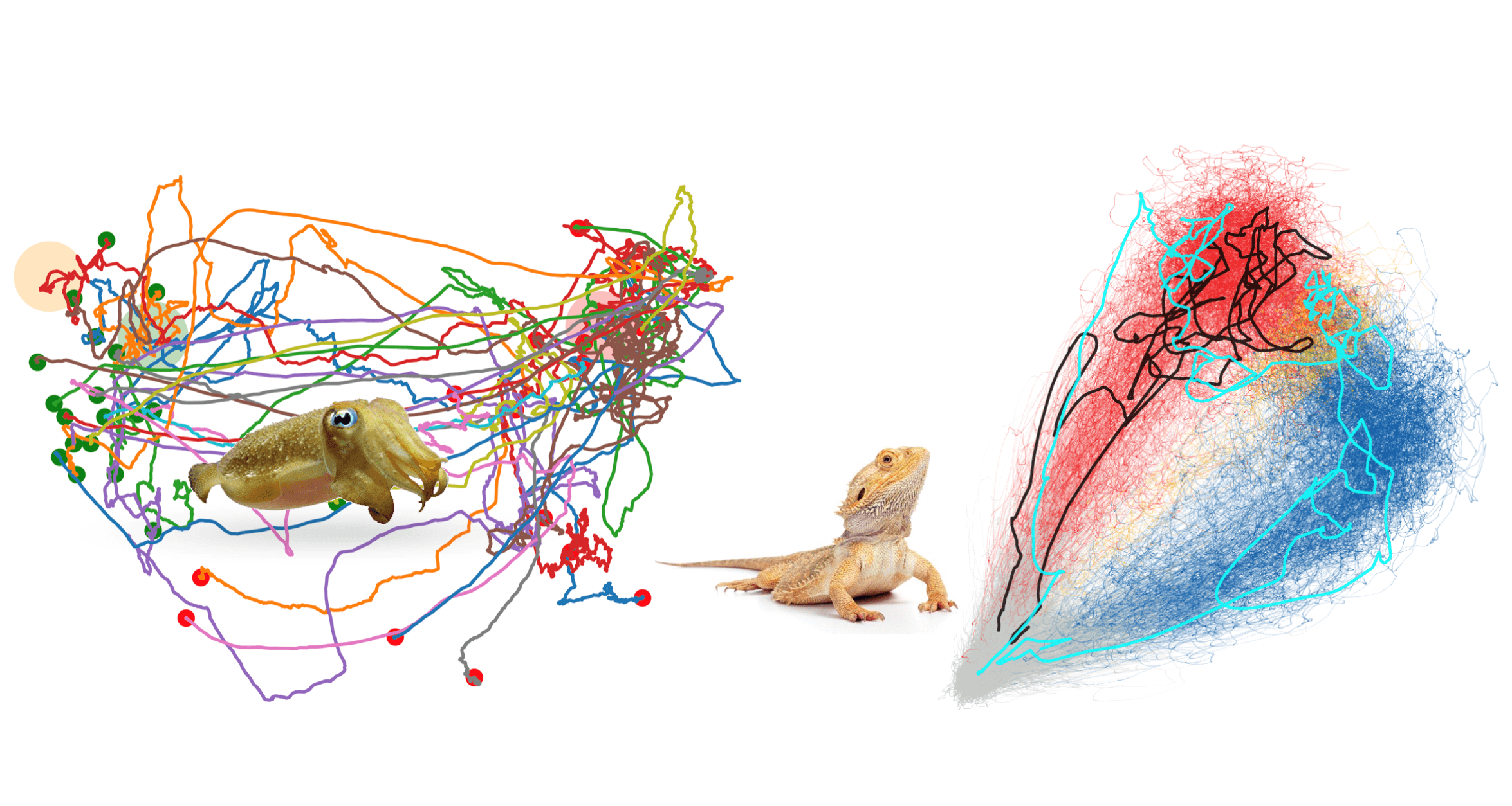 Understanding the dynamic complexity of sleep and visual texture ...