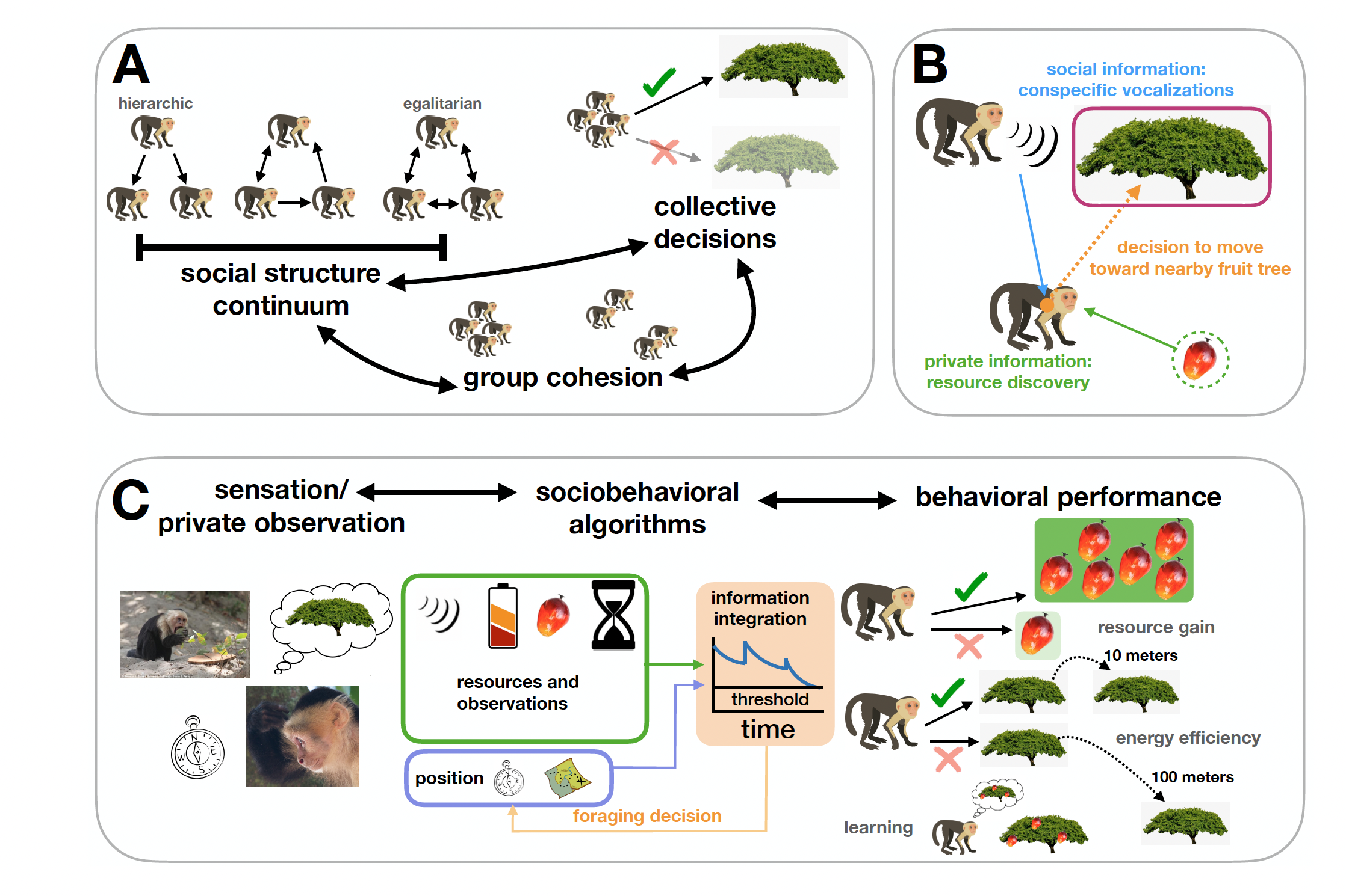 Unravelling the diversity of foraging strategies | Sainsbury Wellcome ... Unravelling the diversity of foraging strategies | Sainsbury Wellcome ...