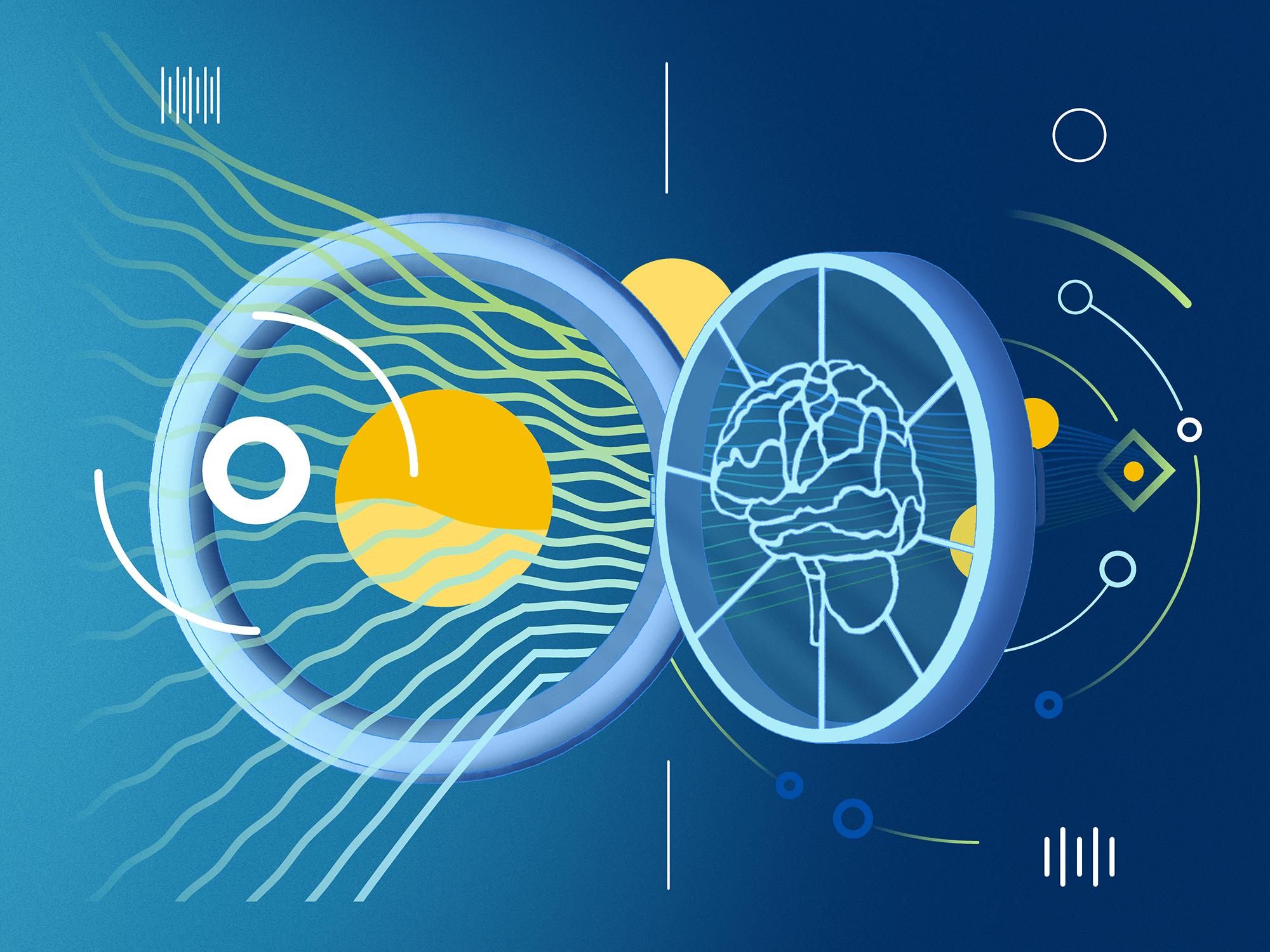 Research | Sainsbury Wellcome Centre