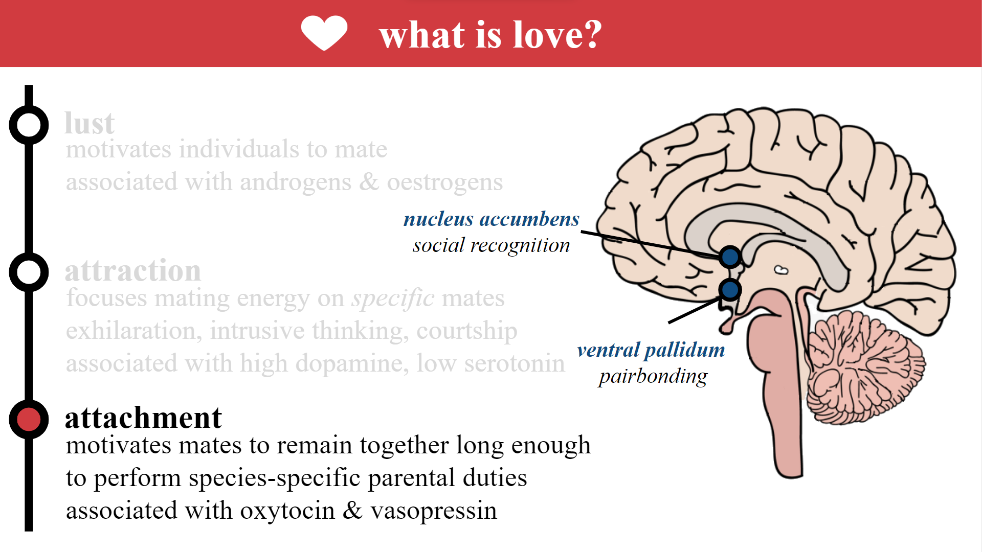 BrainCamp Lessons | Sainsbury Wellcome Centre
