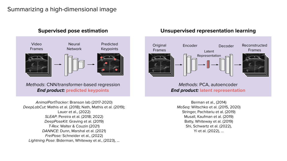 Teaching artificial networks how animals pose | Sainsbury Wellcome Centre