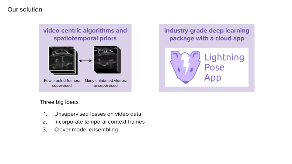 Teaching artificial networks how animals pose | Sainsbury Wellcome Centre
