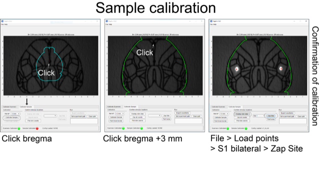 Zapit: democratising random-access optogenetics | Sainsbury Wellcome Centre