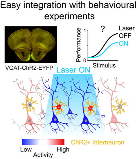 Zapit: democratising random-access optogenetics | Sainsbury Wellcome Centre