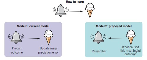 SWC Hybrid Seminar: Retrospective learning in the brain | Sainsbury Wellcome Centre