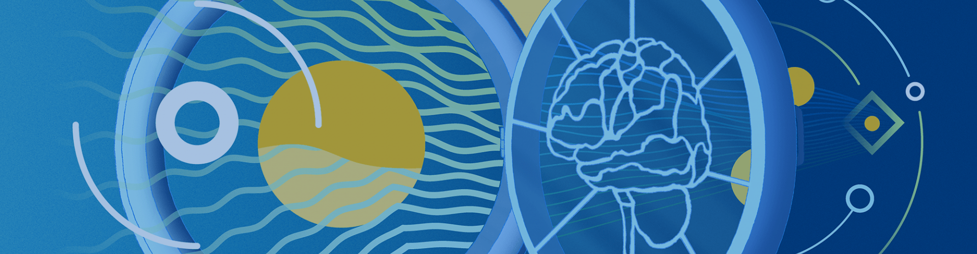 Research | Sainsbury Wellcome Centre
